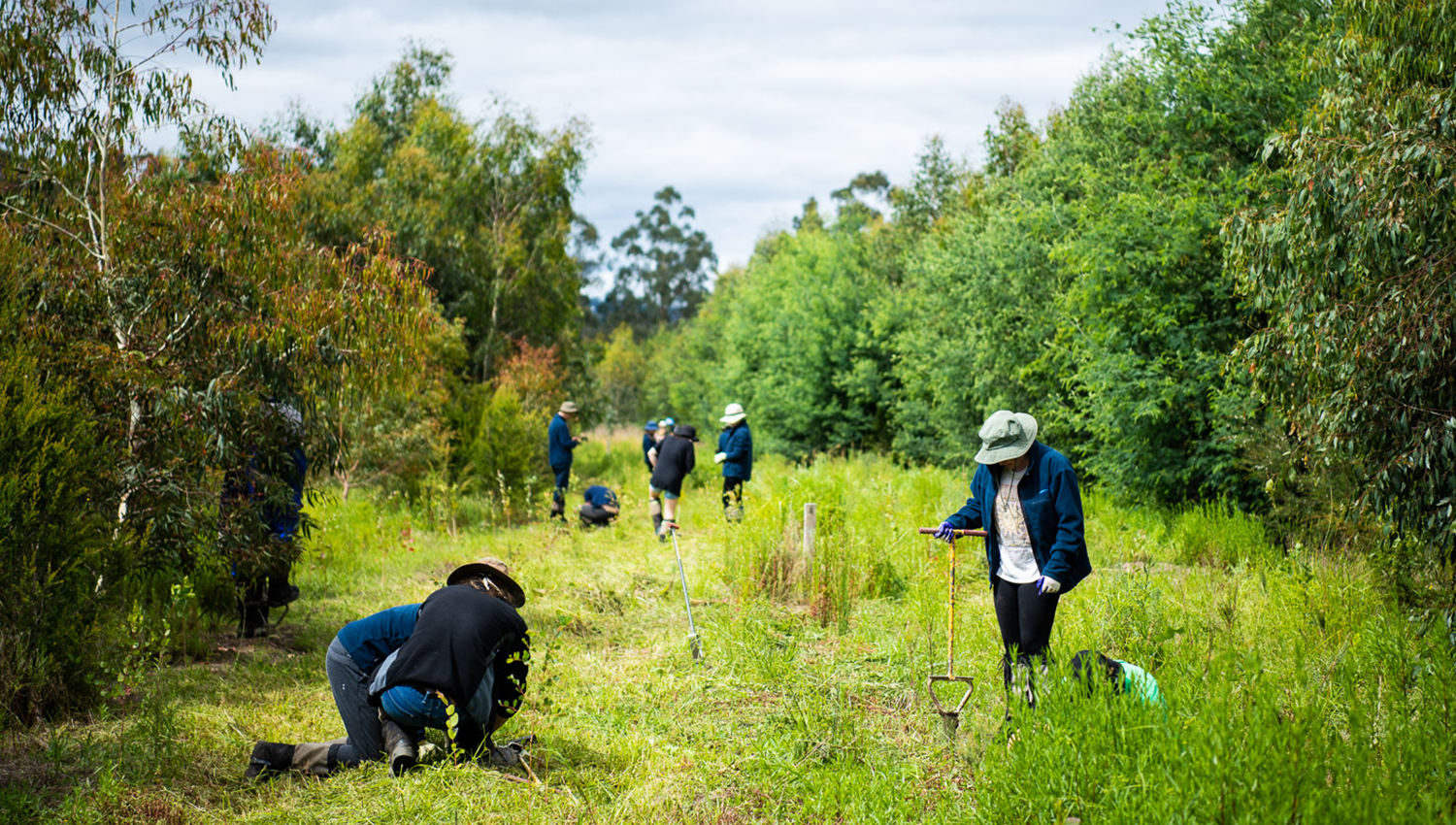5 things you need to know about the new Environmental Planting Method
